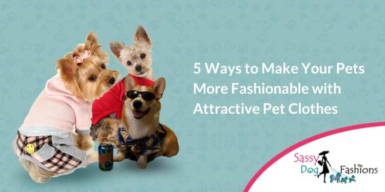 5 Ways To Make Your Pets More Fashionable With Attractive Pet Clothes