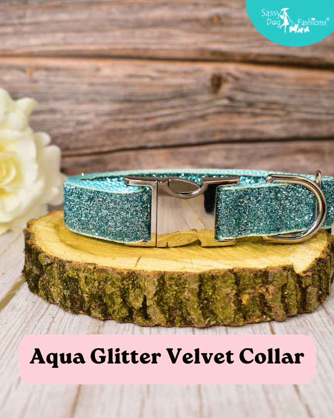 Personalized Aqua Glitter Dog Collar & Leash Set Gift | SassyDogFashions