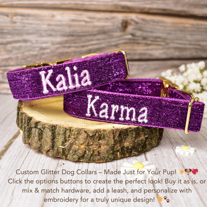 Custom Lilac Glitter Dog Collar with Name Embroidery & Leash