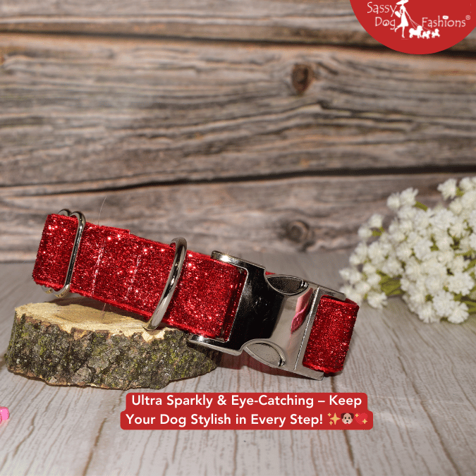 Personalized Red Glitter Dog Collar & Leash Set Gift | SassyDogFashions