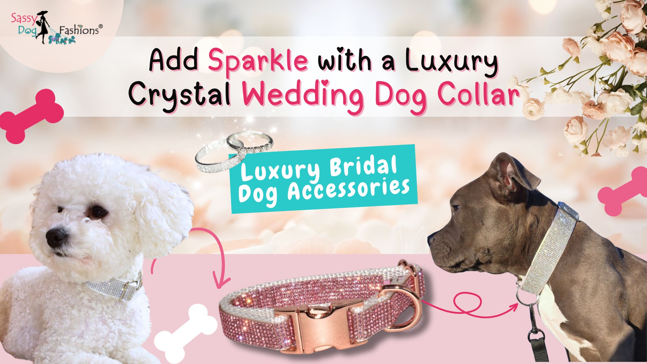 Sassy Dog Fashions - The Exclusive Dog Boutique for Sassy Dog Parents